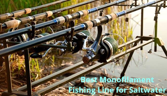 Best Monofilament Fishing Line for Saltwater [January – 2026]