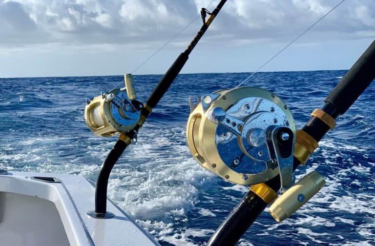 14 Best Deep Sea Fishing Rod and Reel Combo [Jan – 2025]