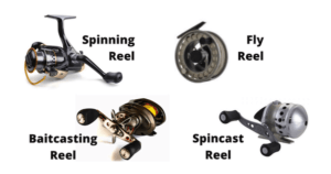 How to Choose a Spinning Reel: A Pro Guide for Beginners