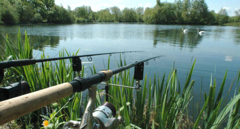 How to Set Up a Fishing Rod for Lake Fishing: Beginner Guide