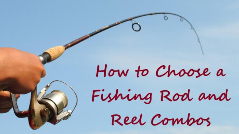 How to Choose a Fishing Rod and Reel: The Complete Guide