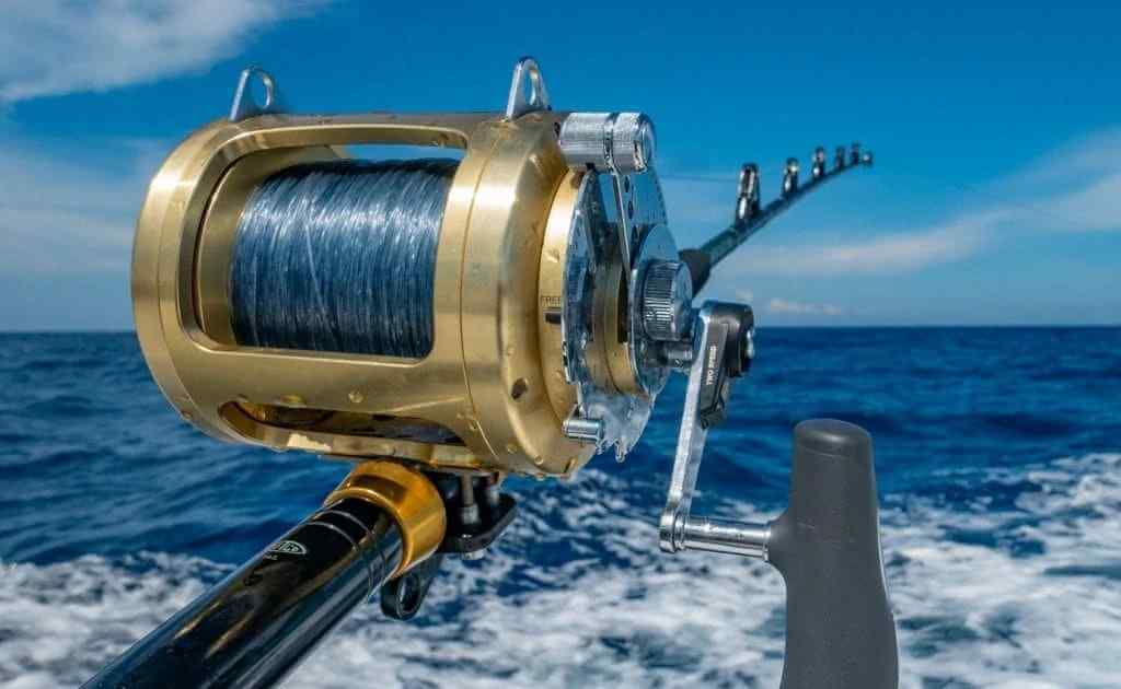 How to Choose a Spinning Reel: A Pro Guide for Beginners