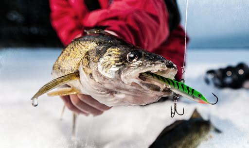 Best Rig for Ice Fishing Trout 2021 – All You Need to Know